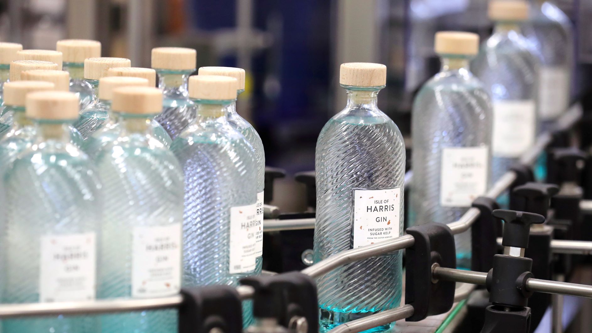 ‘Staggering’ Rise In Gin Sales Sees 73 Million Bottles Sold In 2018 ...