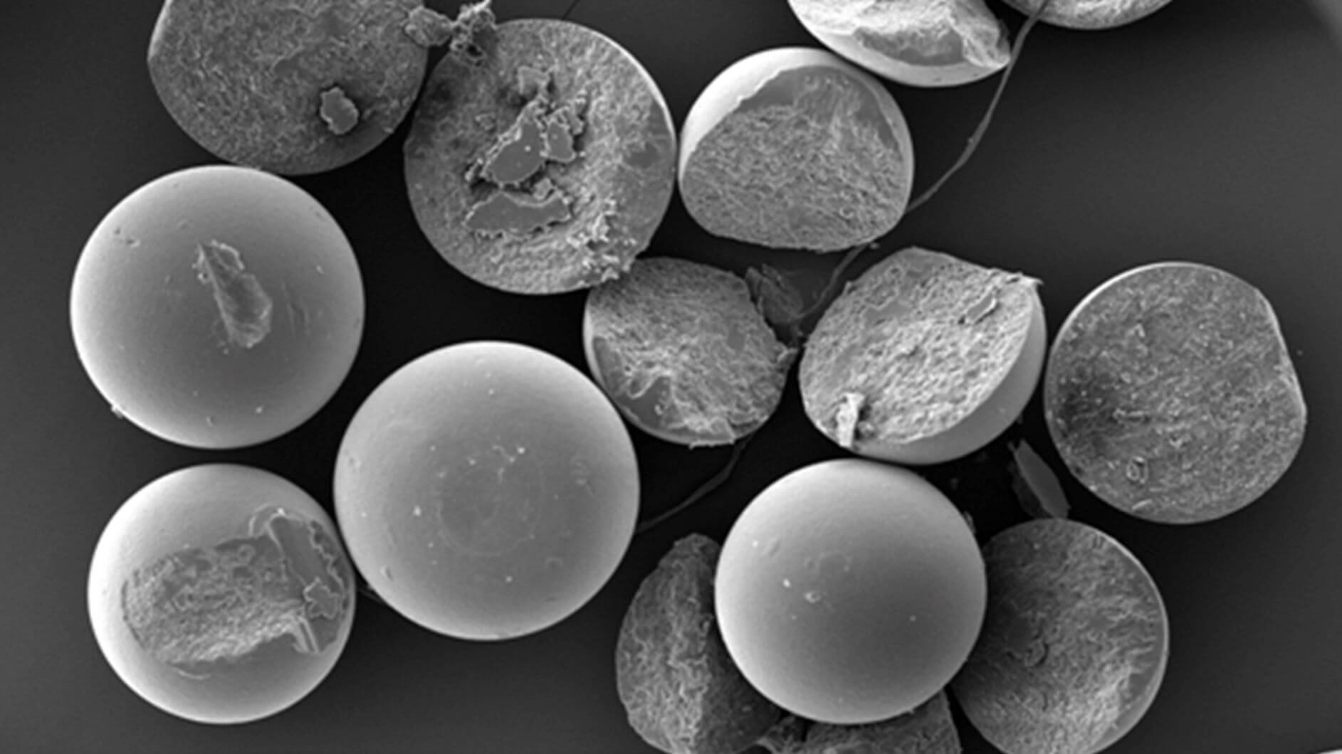 Start-Up Develops Biodegradable Alternative To Plastic Microbeads ...