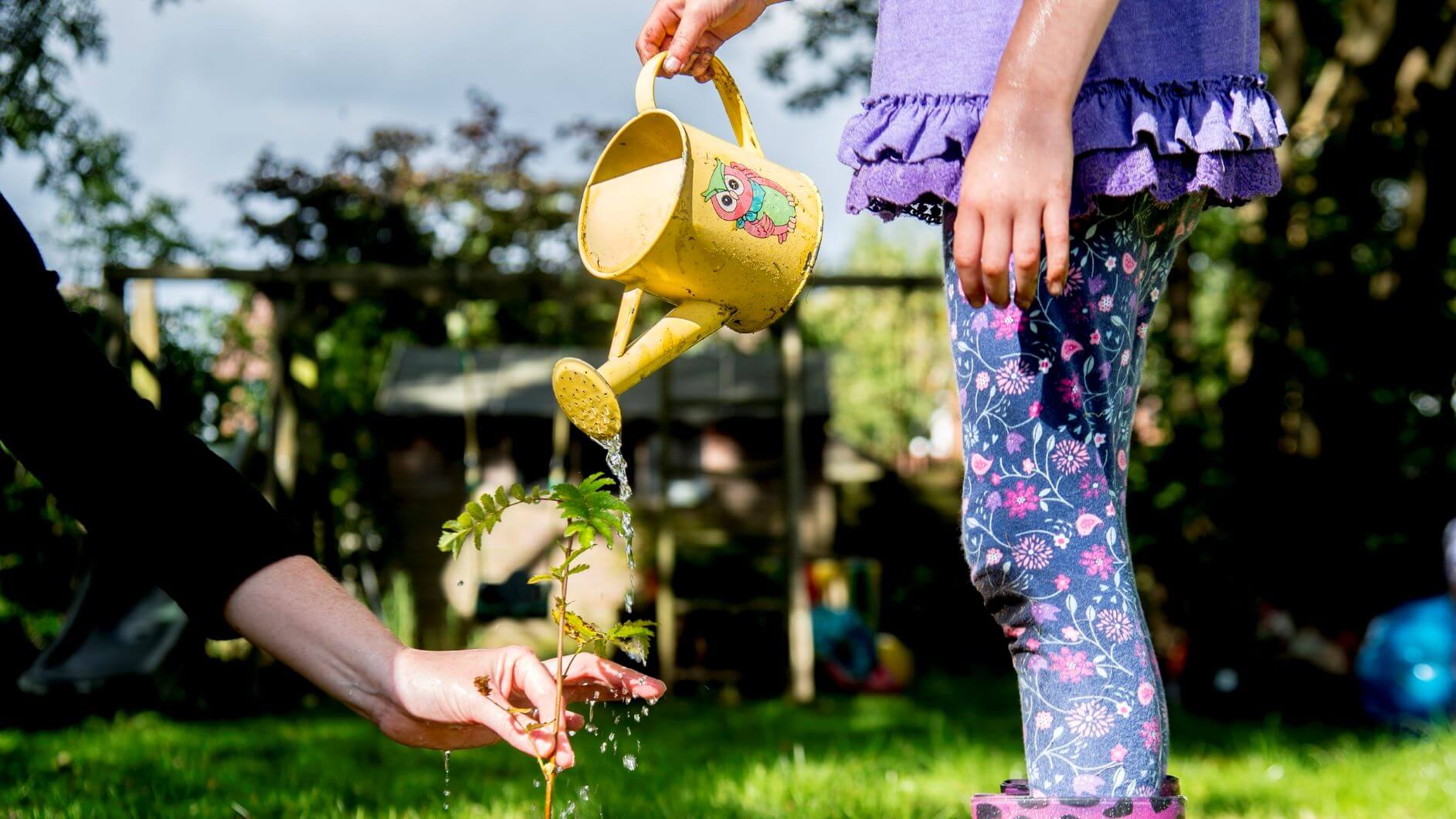 Call For A Million People To Back Mass Tree Planting Campaign - Minutehack