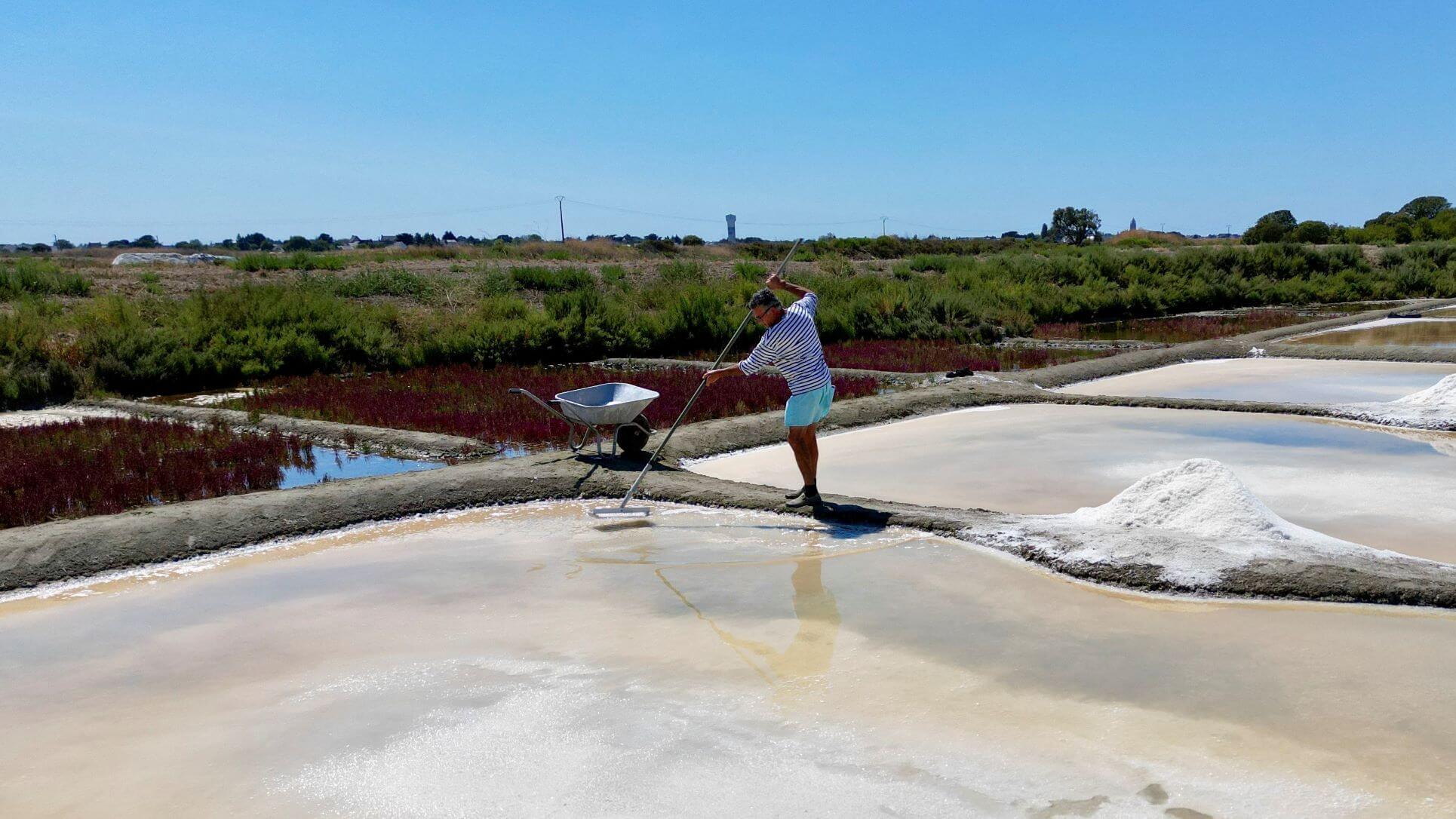 The Unwitting Winners Of France's Drought: Salt Farmers - Minutehack