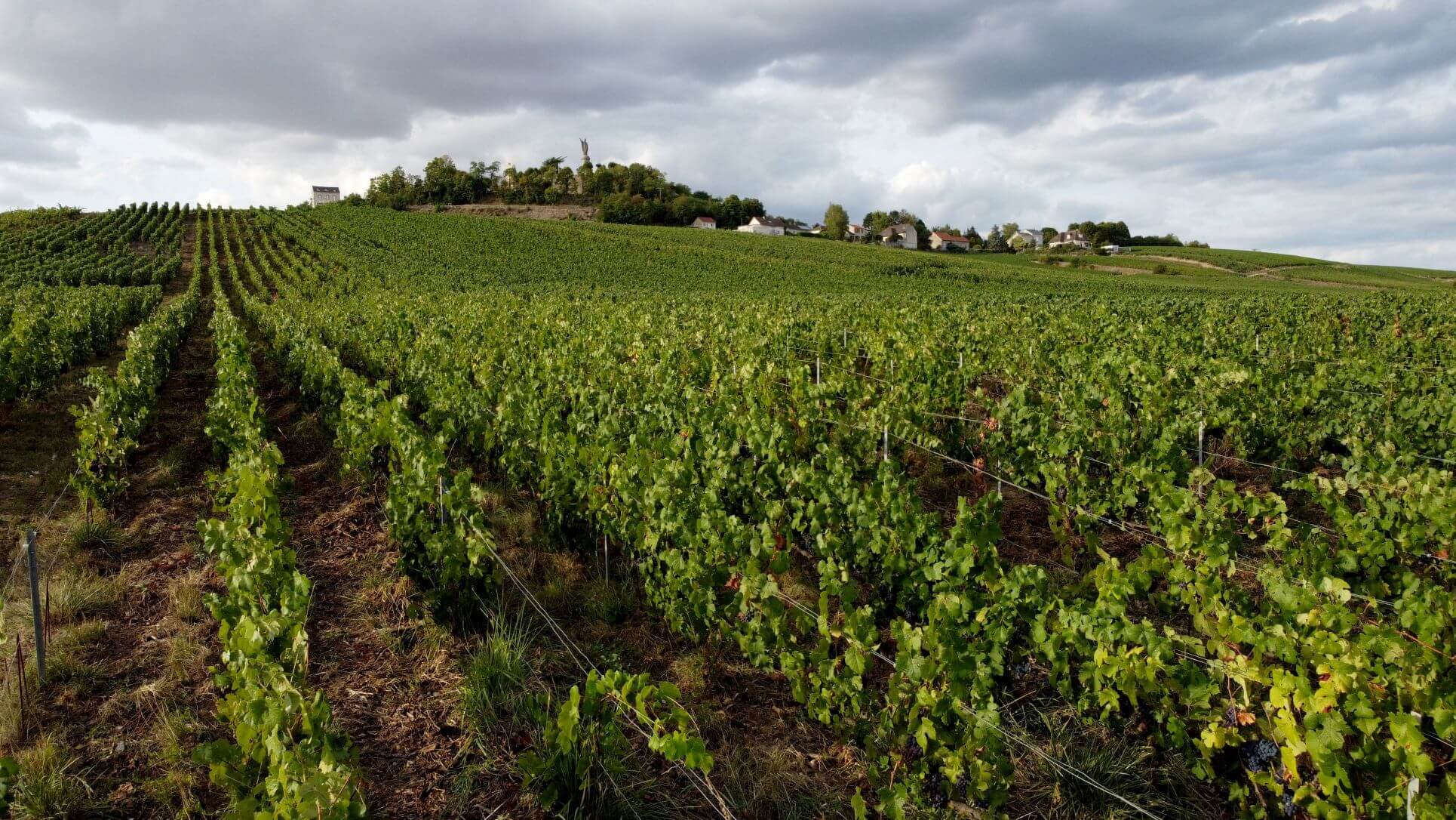 Inflation Drives French Wine And Spirits Exports To New High In 2022 ...