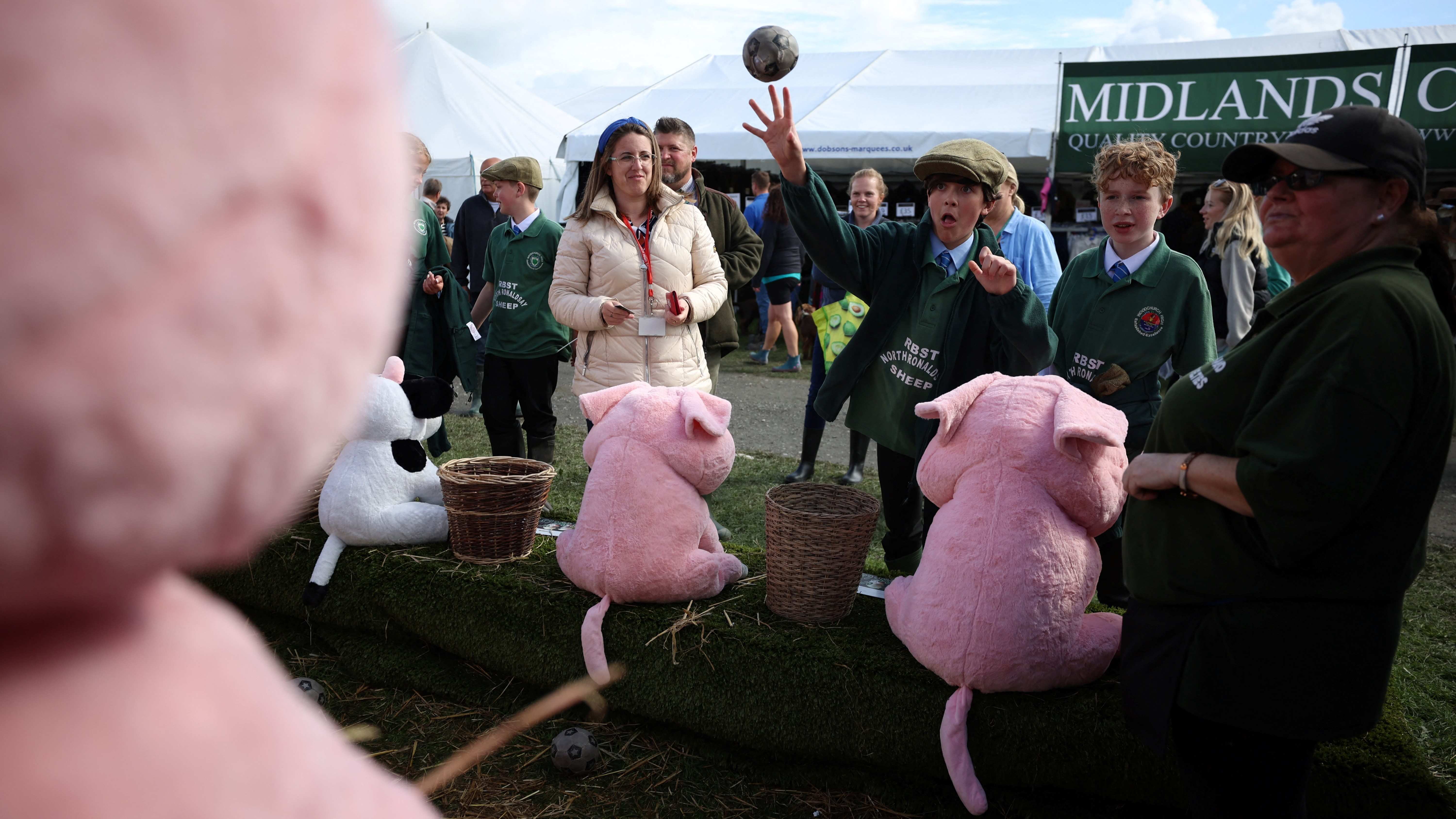 Urban School Farm Opens World Of Opportunity To British Teens - Minutehack