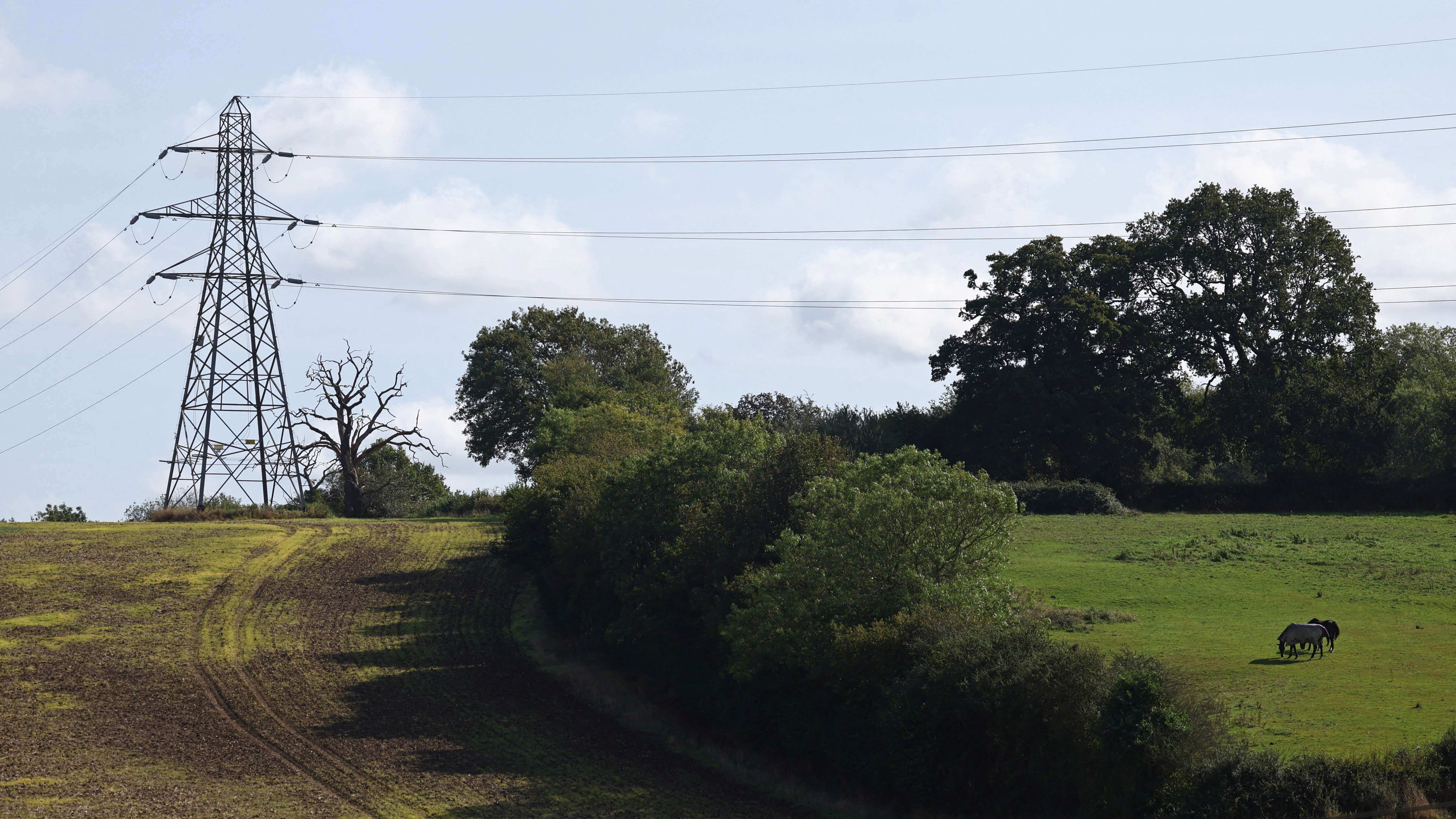 Octopus Energy Becomes Britain’s Largest Home Electricity Supplier ...