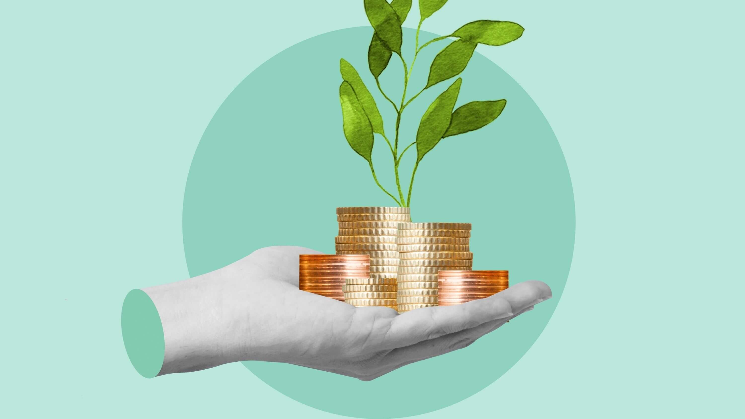 Money, But Make It Make Sense - Minutehack